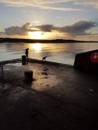 Ballyhalbert, Ards Peninsula